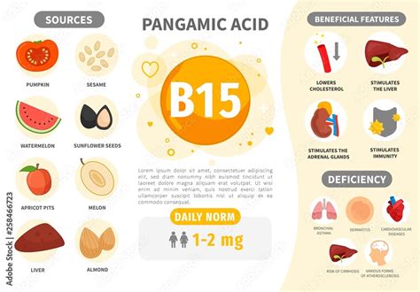 Infographics Vitamin B15. Products containing vitamin. Daily norm ...