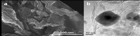 Figure S5 Sem A And Tem B Image Of The Electrocatalyst Fe 3 Co Rgo