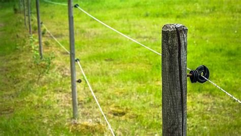 Import Electric Fence In China Electric Fence Manufacturers And Suppliers