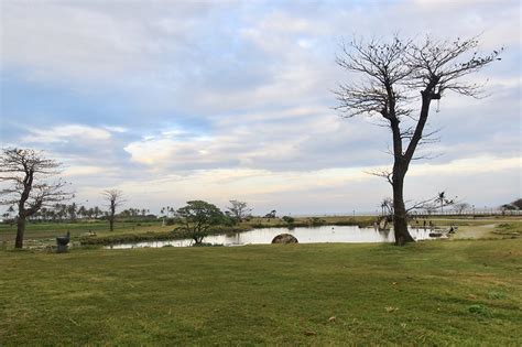 夕陽下人約黃昏後台開心農場近觀海景遠眺山景花蓮市近郊不能錯過的景點 旅遊 WalkerLand窩客島