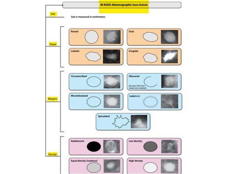 Birads Breast Ultrasound Mamography Pptx