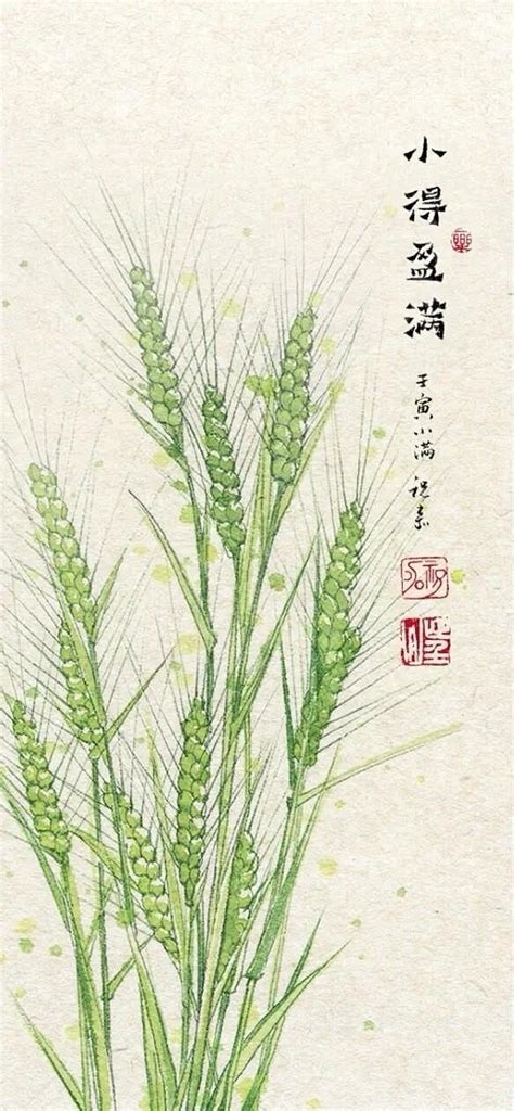 林花谢了春红，太匆匆 无奈朝来寒雨晚来风 今日头条
