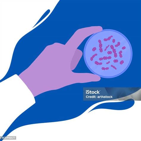 스트렙토코커스 폐렴 박테리아 세포 의학 다이어그램 아이콘 페트리 접시에 대한 스톡 벡터 아트 및 기타 이미지 페트리 접시 마이크로바이옴 폐구균 Istock