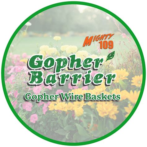 Gopher Barrier Gopher Wire Baskets Large Up To 10 Gallon 5 Pack