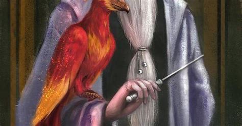Dumbledore Album On Imgur