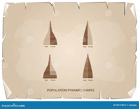 The 4 Types Of Population Pyramids Graphs Stock Vector Illustration