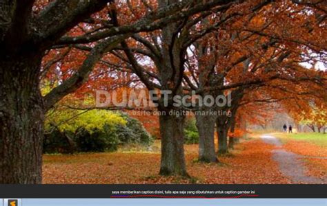 cara membuat popup gambar dengan materialize dan memberikan caption