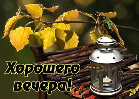 Стильная открытка Хорошего вечера С птичкой Скачать бесплатно на