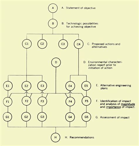 Flow Chart For Steps In The Development Of Actions Programs