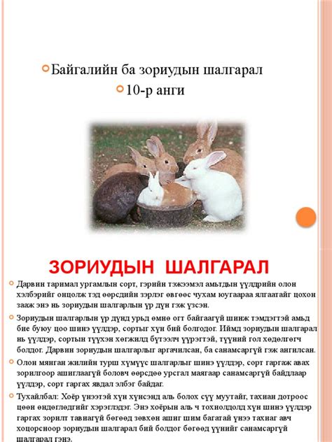 10 р анги Байгалийн ба зориудын шалгарал Pdf