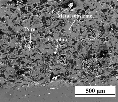 Sem Micrograph Of Ni G Coating Cross Section Download Scientific Diagram