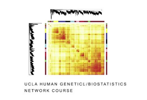 Introduction To Single Cell RNA Seq RNA Seq Blog