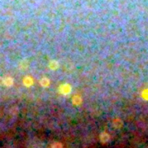 Batesian Mimicry Automating