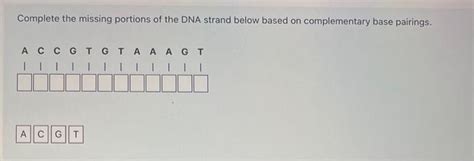 Solved Complete The Missing Portions Of The DNA Strand Below Chegg