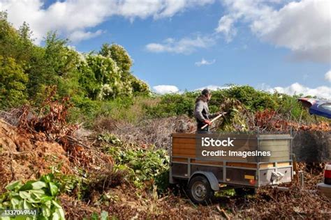 녹색 재활용 공장에서 식물 폐기물의 매립 자동차 트레일러에서 사람이 유기 비료를 만들기 위해 퇴비 더미에 식물 브런치 폐기물의 힙을 던져 퇴비화 친환경 재활용 쓰레기에 대한