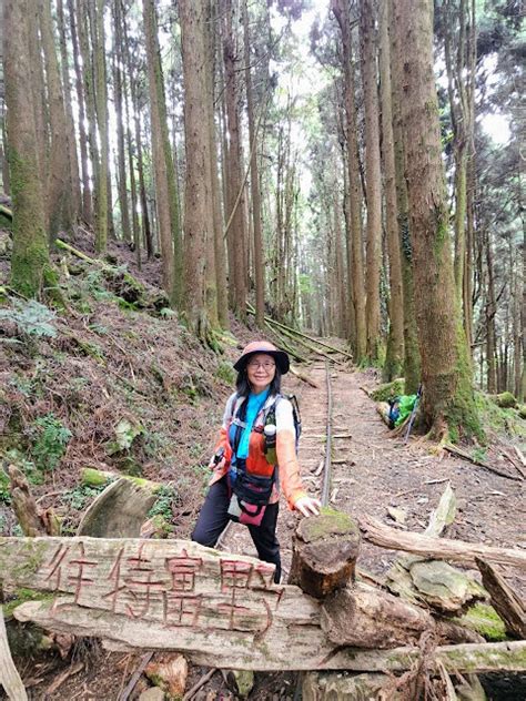 嘉義 特富野古道 水山支線舊鐵道 拉拉喀斯神木群 健行筆記