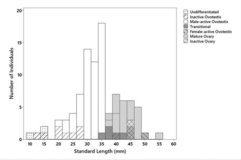Size Frequency Distribution Of Reproductive Classes Of C Cookei The