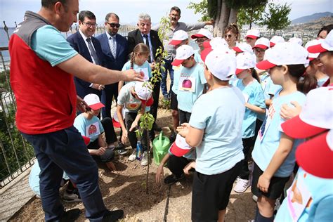 Bodrum da Okuldaki Çiftlik Projesiyle öğrenciler Meyve Fidanları Dikti Dalaman Gazetesi