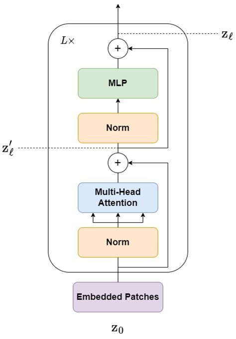 Hgr Vit Hand Gesture Recognition With Vision Transformer