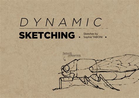 Sketchbook Dynamic Sketching English