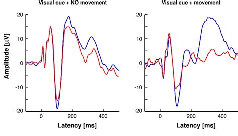 Figure 61 From Probing Cortical Excitability With Transcranial Magnetic Stimulation Semantic
