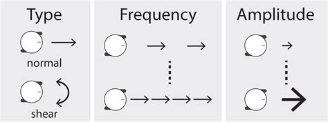 Shape Lab Stanford University