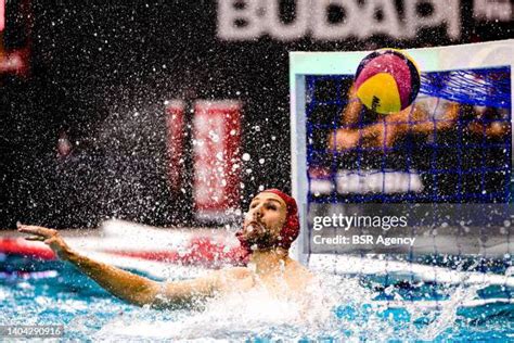 187 Branislav Mitrovic Photos And High Res Pictures Getty Images