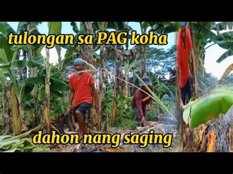 NAG TULONGAN KOMUHA NANG DAHON PARA SA BIBINGKA NI DADIN Fb Acc Reden