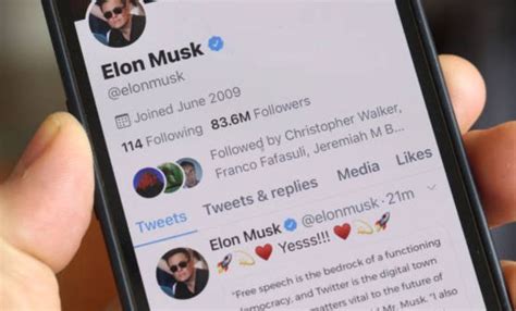 Youtube Royalty Mrbeast Answers Elon Musks X Challenge Call Blogging