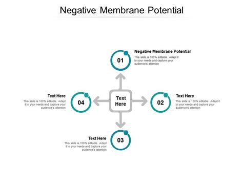 Negative Membrane Potential Ppt Powerpoint Presentation Inspiration