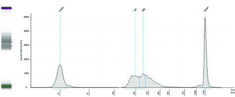 Bioanalyzer Electropherogram Of The Rrbs Library Upper And Lower Peaks Download Scientific