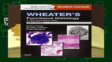 Wheaters Functional Histology A Text And Colour Atlas