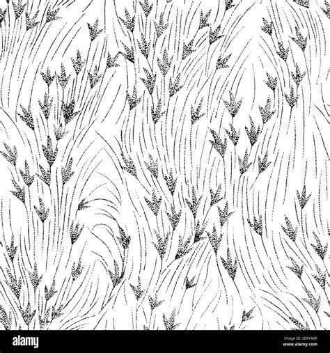 Seamless Luxury Pattern Textile Pattern Texture Dot Flower Design