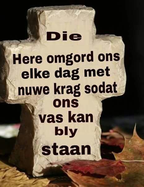 Discover 78 Meegevoel And Sympathy Quotes Ideas In 2025 Afrikaanse
