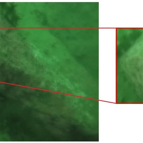 The Fringe Phenomenon Caused By A Sparse Filter Matrix A Sparse Filter Download Scientific