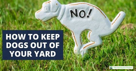 How To Keep Dogs Out Of Your Yard The Backyard Master