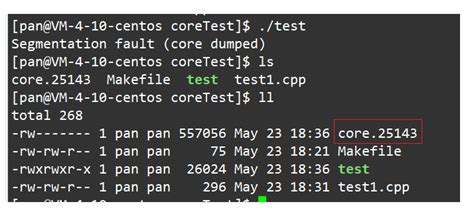 【linux】进程信号中的 Core Dump 标记位linux Core Dump 开启 Csdn博客