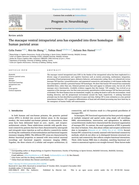 Pdf The Macaque Ventral Intraparietal Area Has Expanded Into Three Pdf The Macaque Ventral Intraparietal Area Has Expanded Into Three