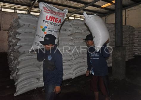 Stok Pupuk Bersubsidi Di Banten Mencukupi Hingga Akhir 2022 Antara Foto