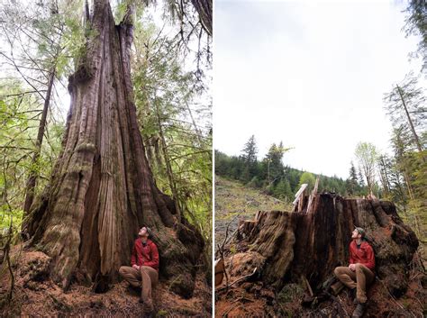 Canadian Geographic Before And After Photos Show Devastating Effects