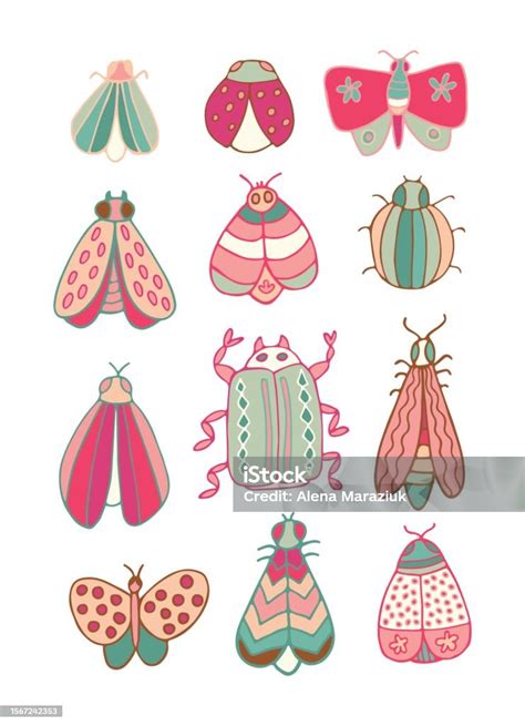흰색 배경에 격리 된 다른 장식품으로 장식 된 아름 다운 날개 달린 곤충 세트 모든 객체가 분리됩니다 벡터 그림입니다 손으로 그렸습니다 0명에 대한 스톡 벡터 아트 및 기타