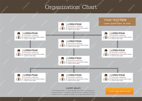 조직 차트 템플릿 프리미엄 벡터