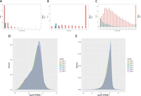 Comparative Analysis Of Lncrnas And Mrnas A Number Comparison Between