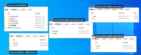 【道友避坑】cub数据集转yolov5格式怎么将cub数据集制作成yoyo数据集 Csdn博客