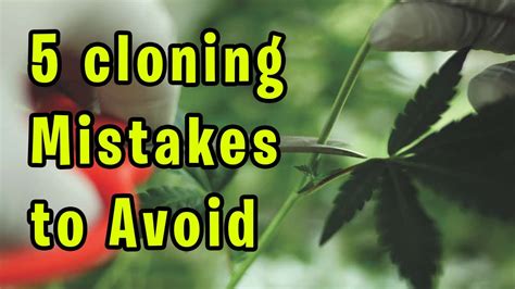 5 Mistakes You Should Avoid When Cloning Youtube