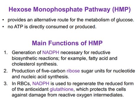 Hmp Pentose Phosphate Pathway Phosphogluconate Pathway Hexose