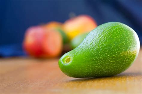 The Fuerte Avocado Minneopa Orchards