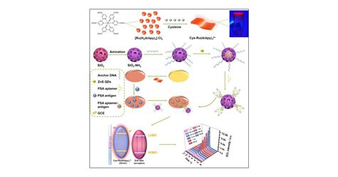 Highly Efficient Signal On Off Electrochemiluminescence Gel Aptasensor Based On A Controlled