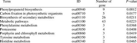Kegg Pathway Of Deg In Genotypic Comparisons Yusef Vs Afzal