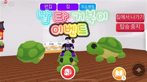 [입양하세요]300명 기념 이벤트 날타 거북이 이벤트 Youtube